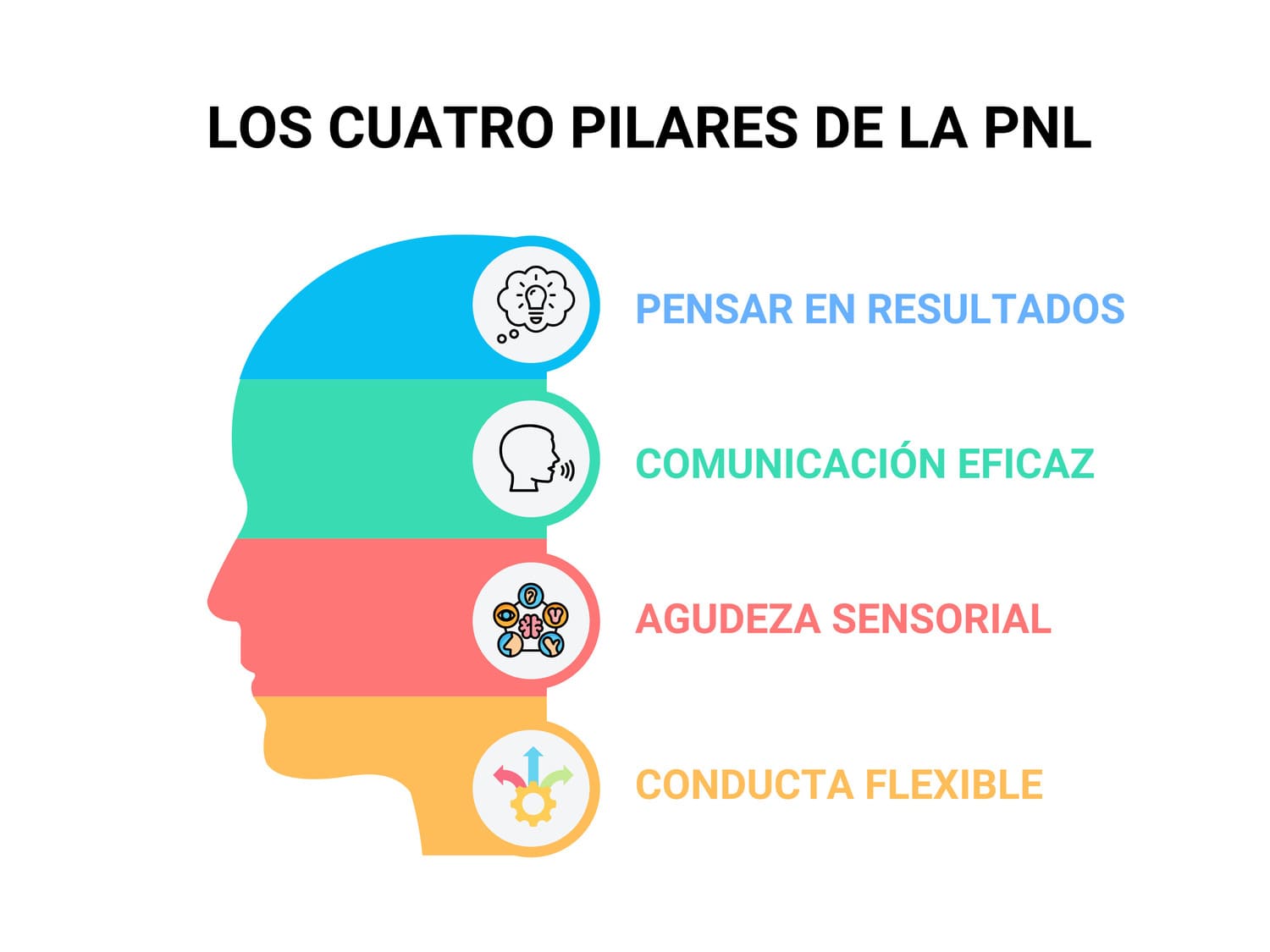 LA PROGRAMACIÓN NEUROLINGÜÍSTICA (PNL): DEFINICIÓN Y APLICACIONES ...